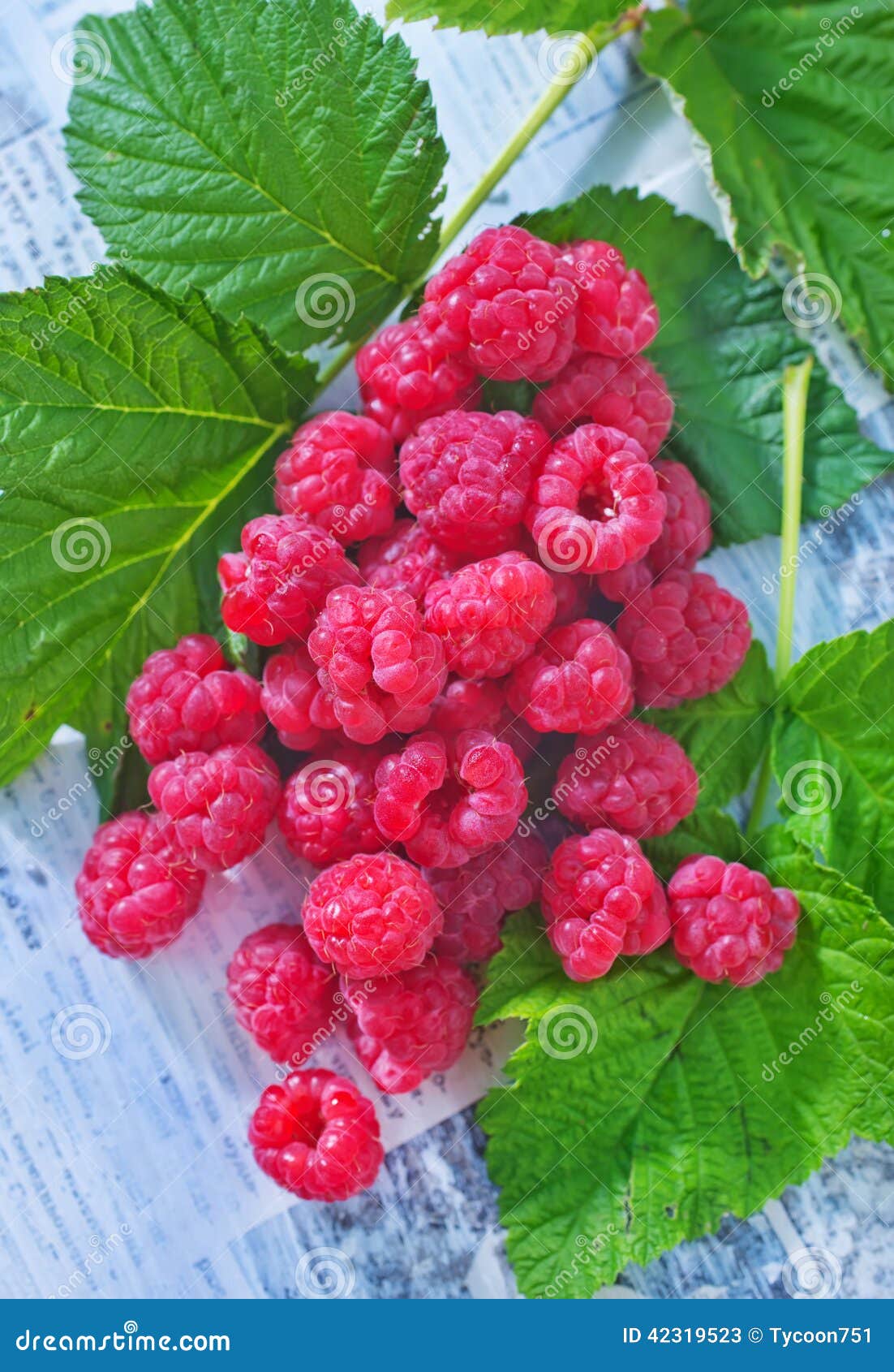 Fresh raspberry stock image. Image of abundance, green - 42319523