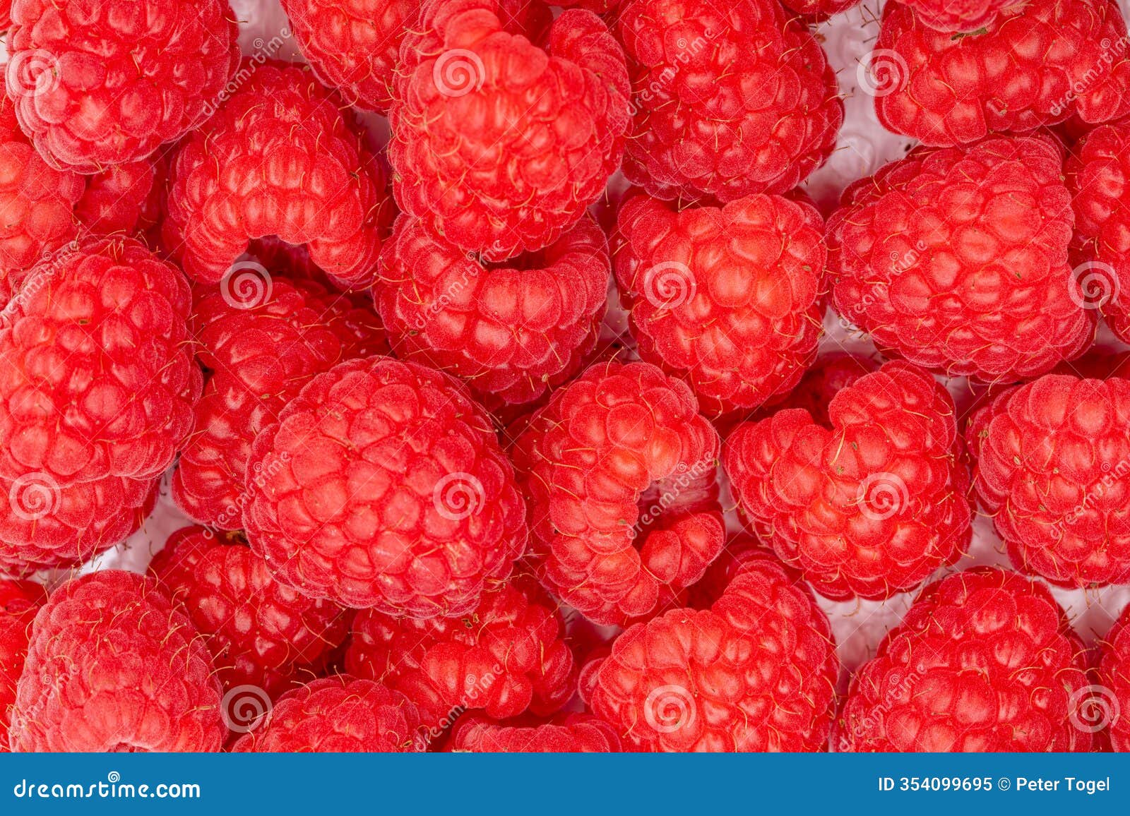Raspberry Texture Background Royalty-Free Stock Photography ...