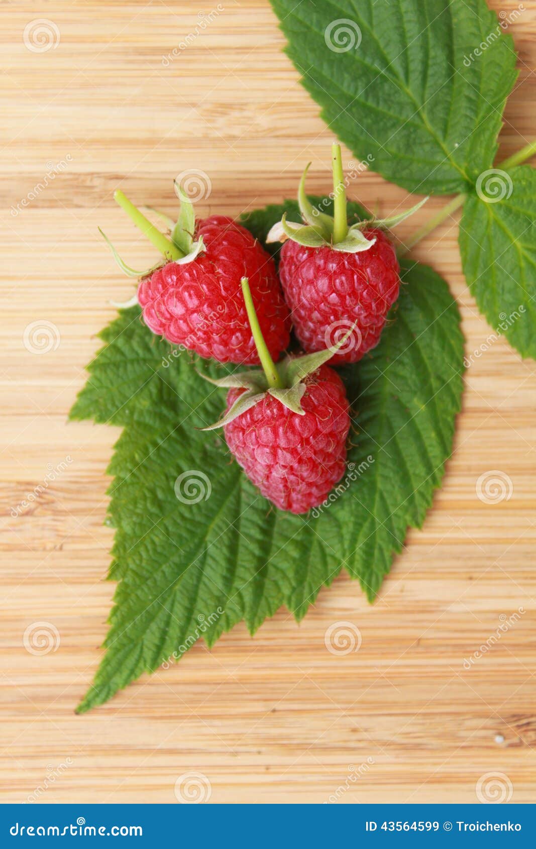 Fresh raspberry stock image. Image of ripe, corsiva, seeds - 43564599