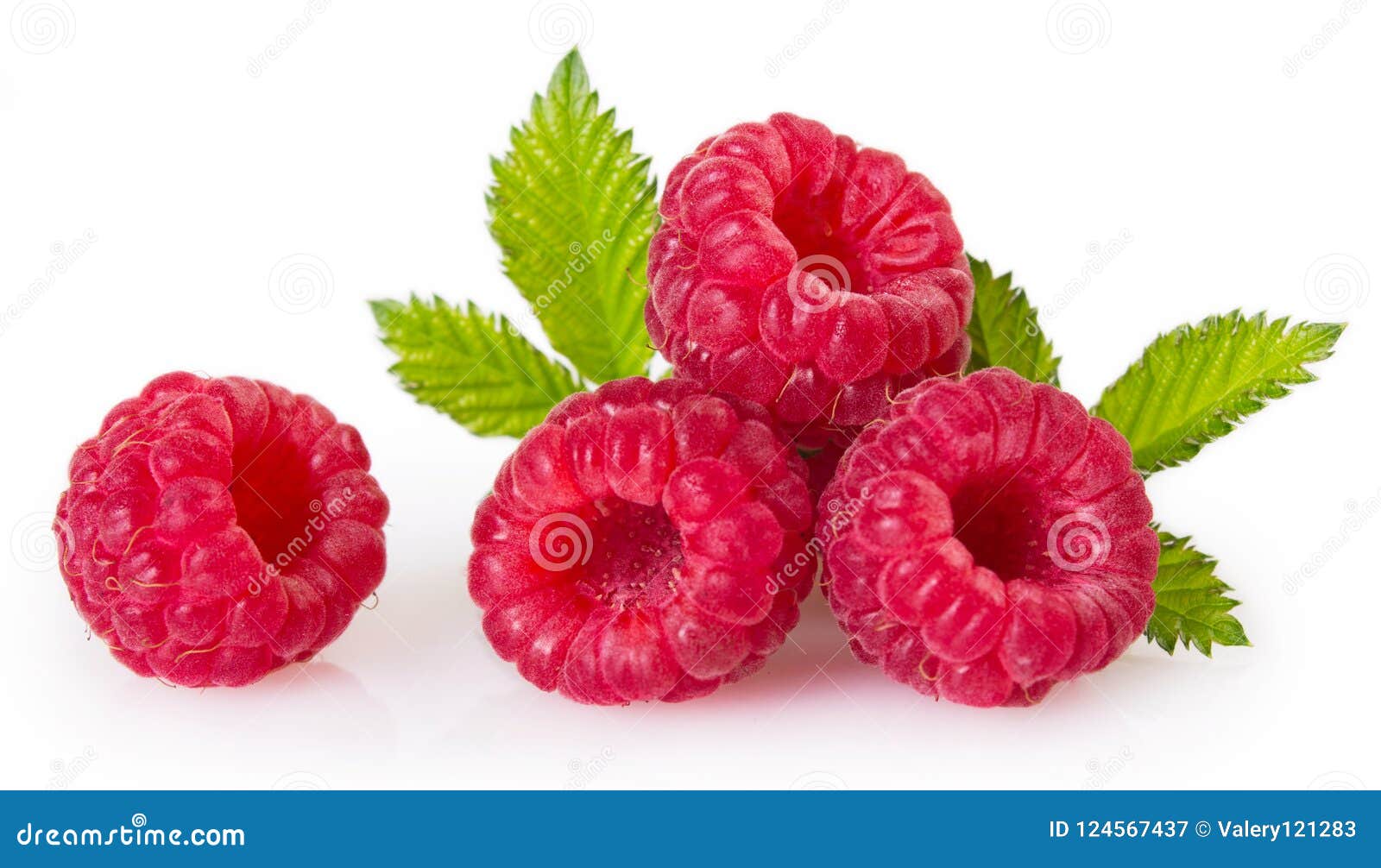 Fresh Raspberry on White Background Stock Image - Image of fruit ...