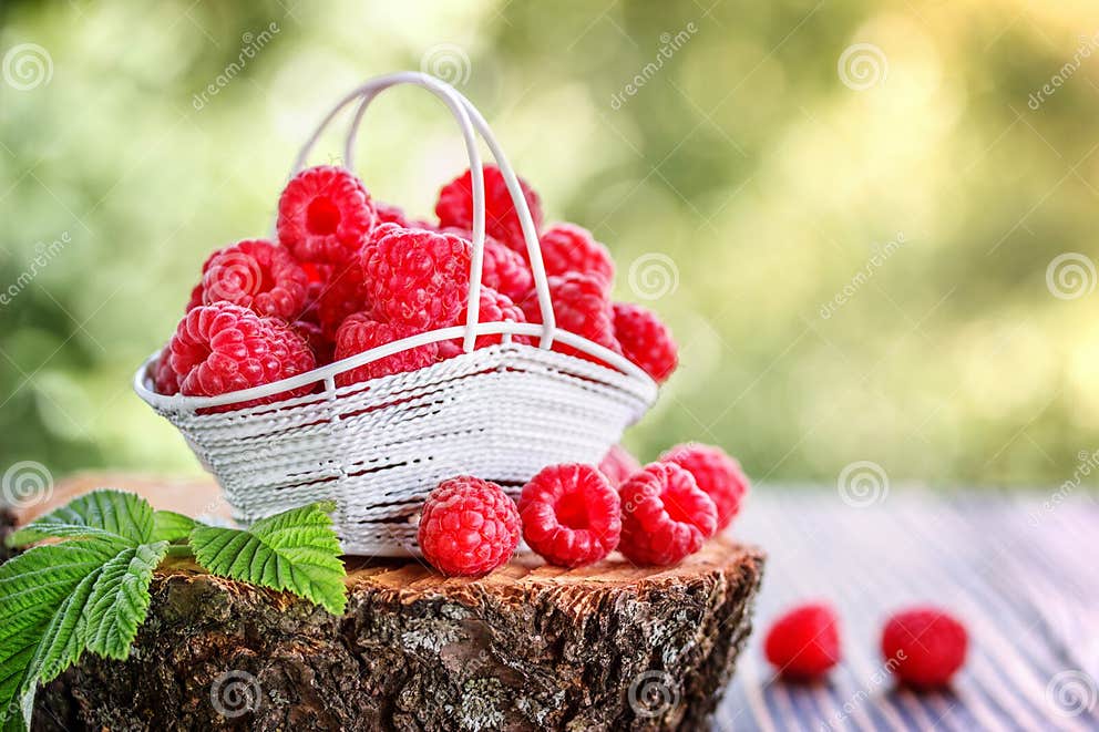 Fresh Raspberry on a Wooden Table Outdoors Stock Photo - Image of wood ...