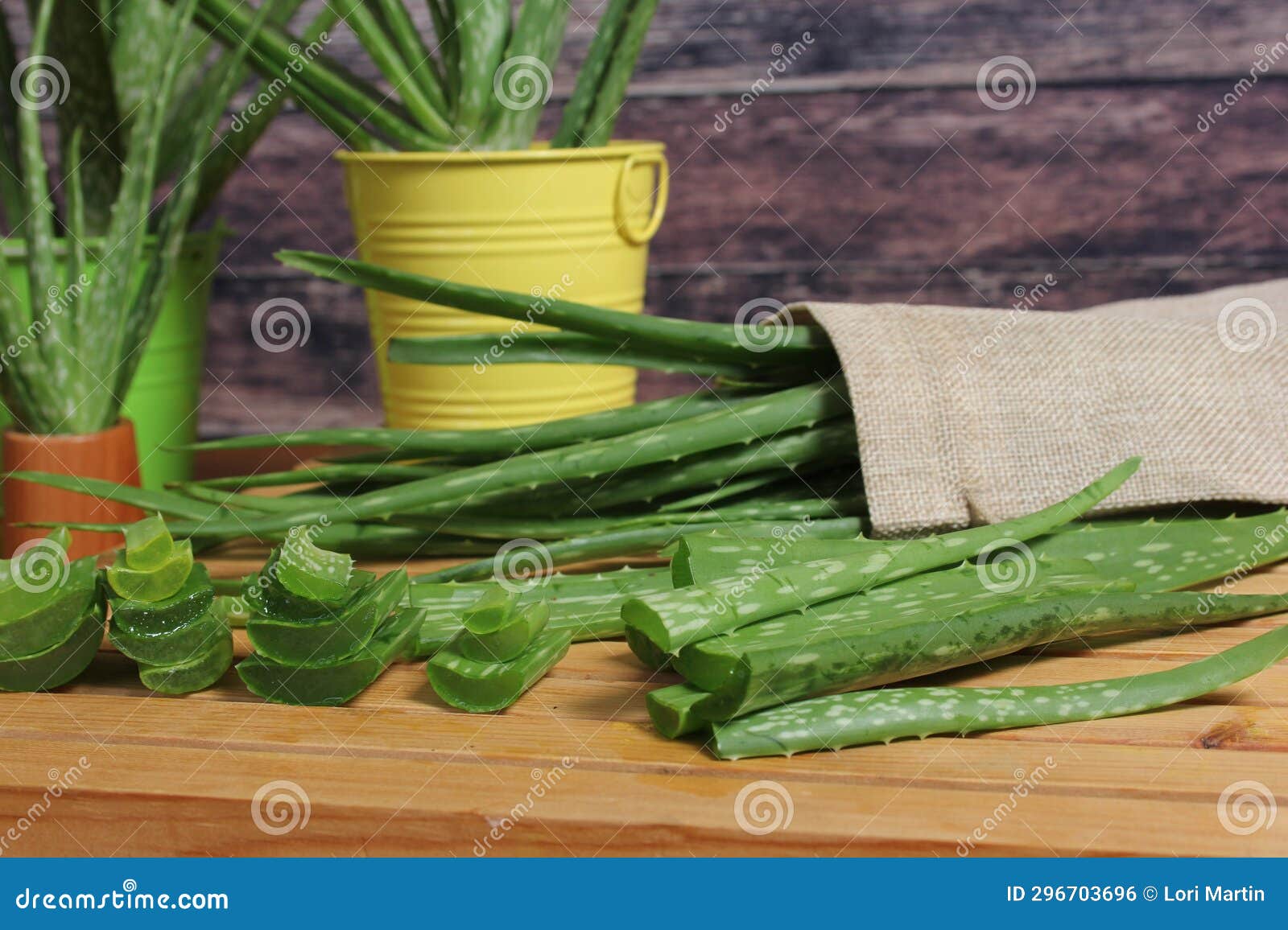 Fresh Raw Aloe Vera on Table after Harvest Stock Photo - Image of ...