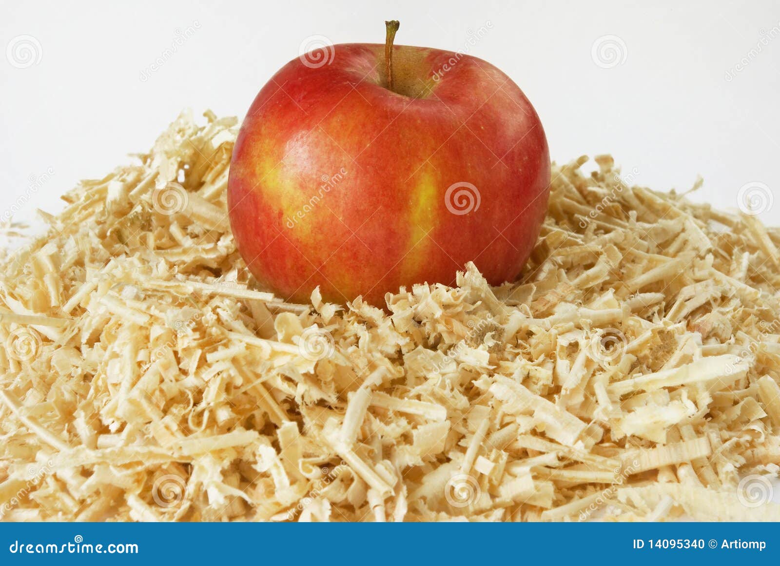 Fresh raw apple stock photo. Image of lunch, single, fruit - 14095340