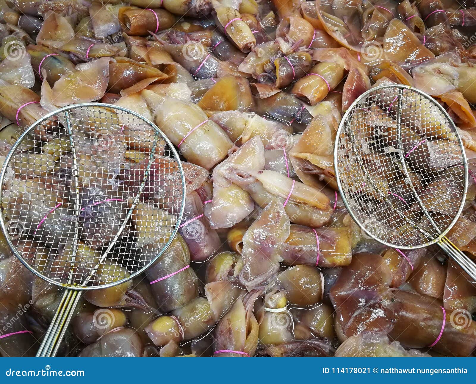 Fresh Raw Baby Squid in Rows on White Background Full Frame Stock Image - Image of background ...