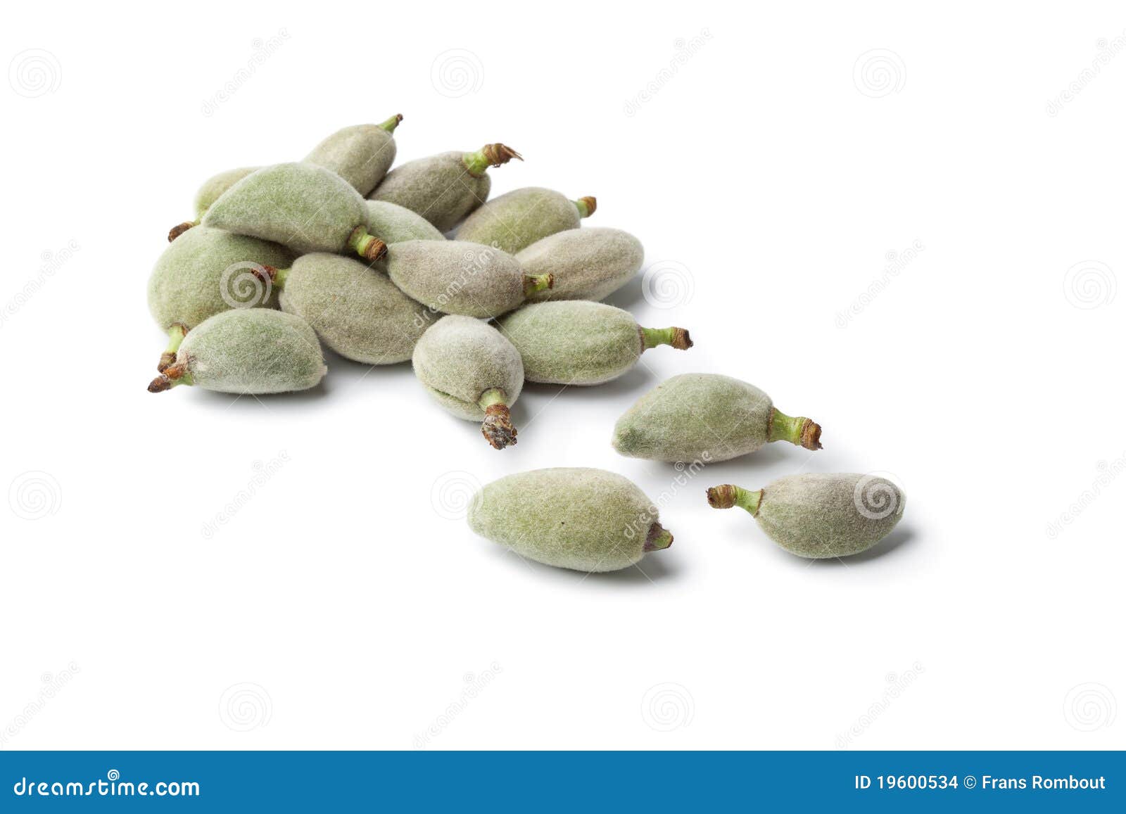 Fresh Raw Bitter Almonds in the Pod Stock Photo - Image of hairy ...