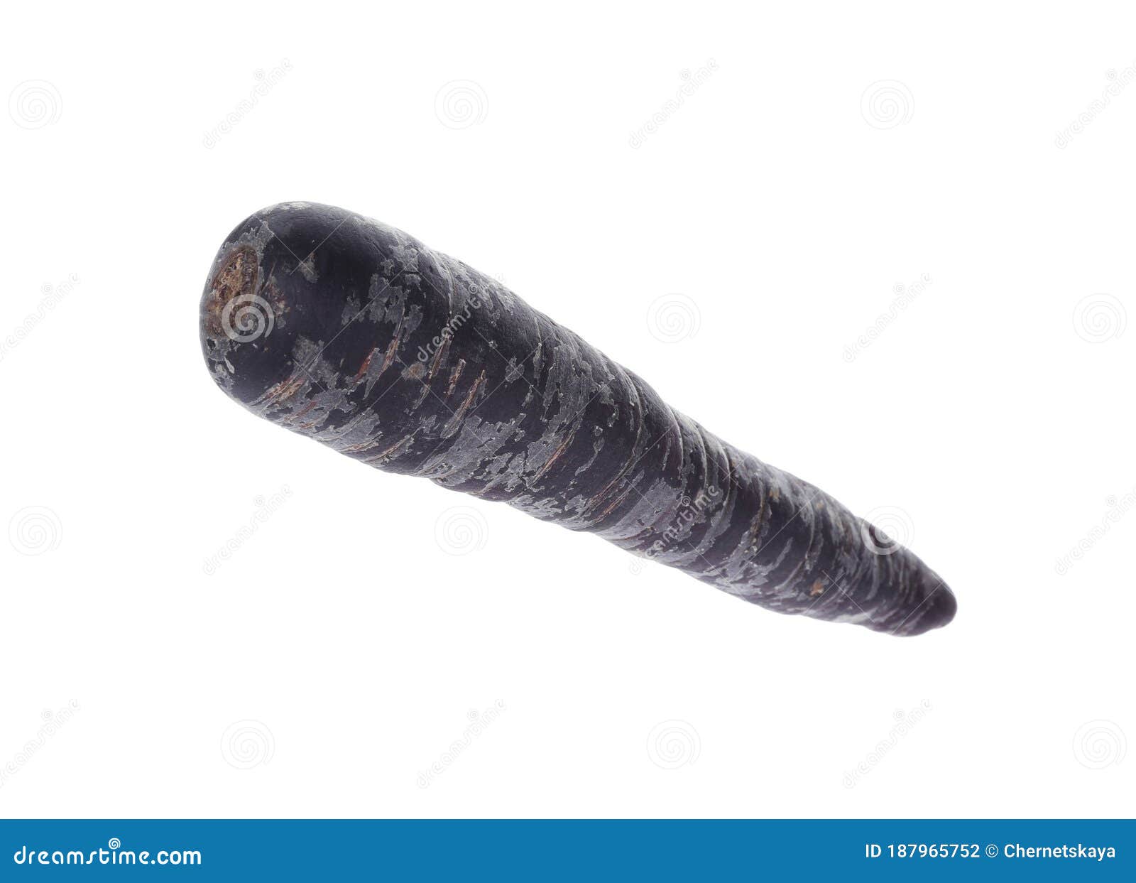 Fresh Raw Black Carrot Isolated Stock Photo - Image of product, food ...