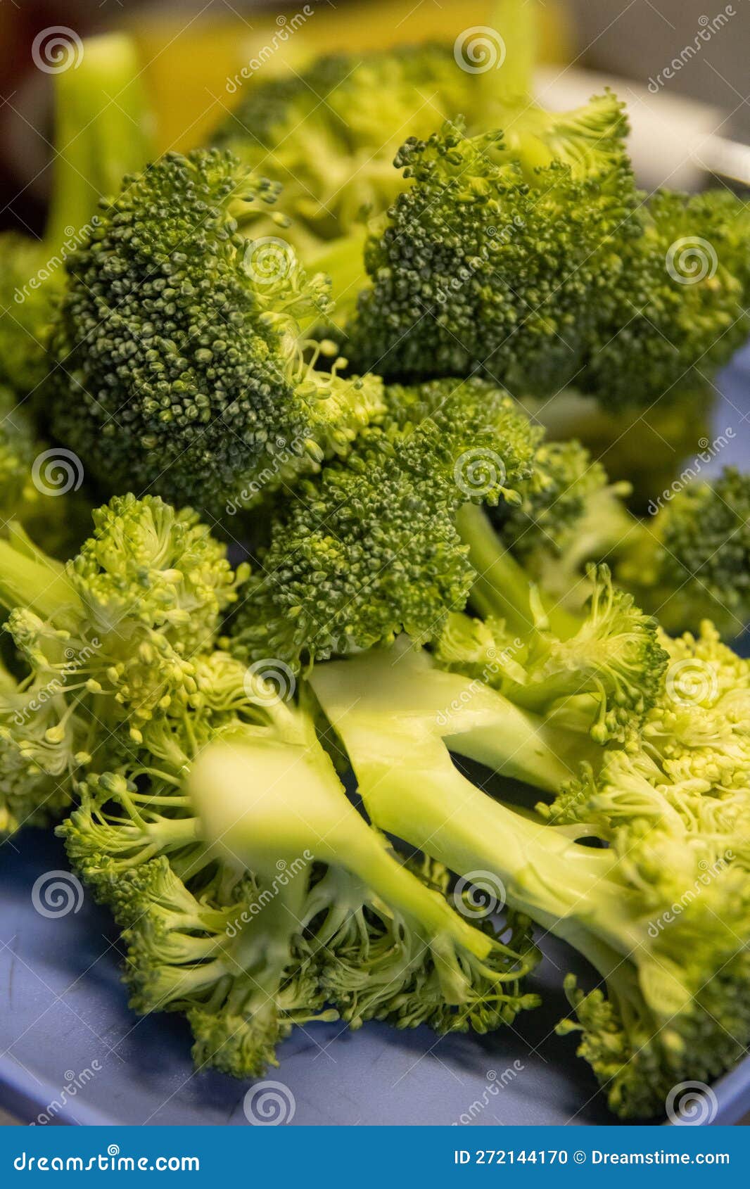 Fresh Raw Broccoli stock photo. Image of vegetable, chef - 272144170