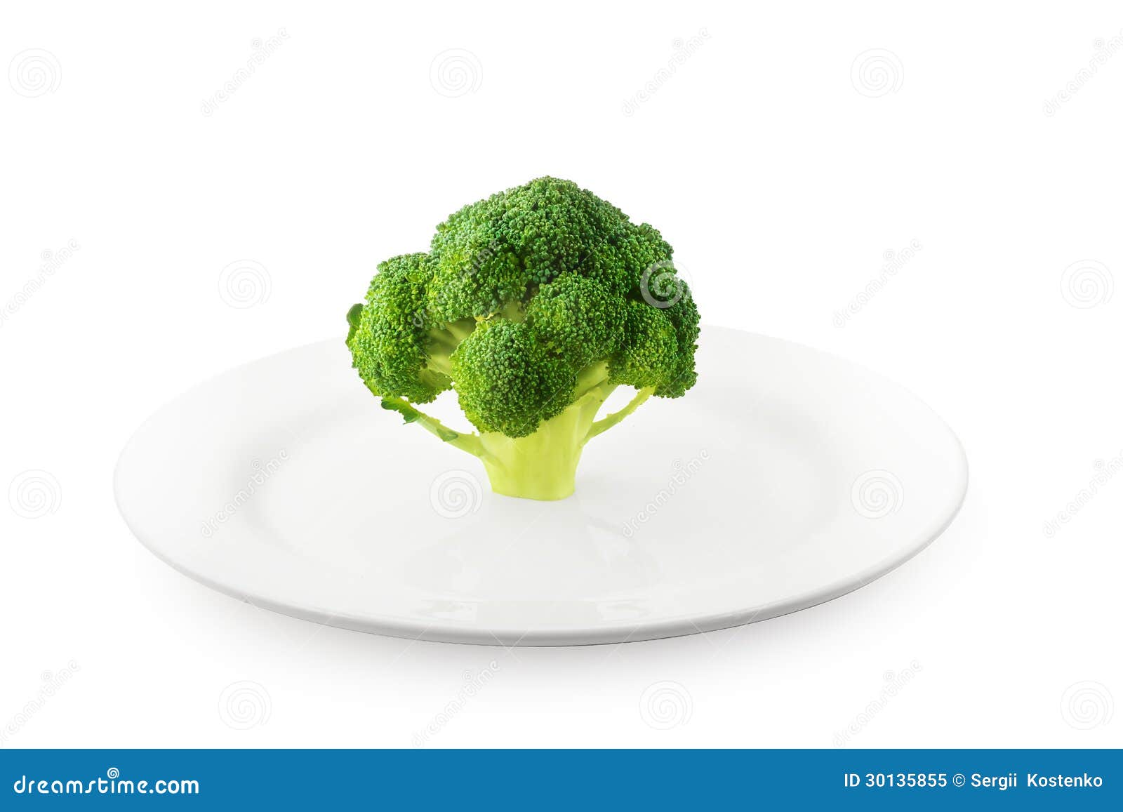 Broccoli on white plate stock image. Image of ingredient - 30135855
