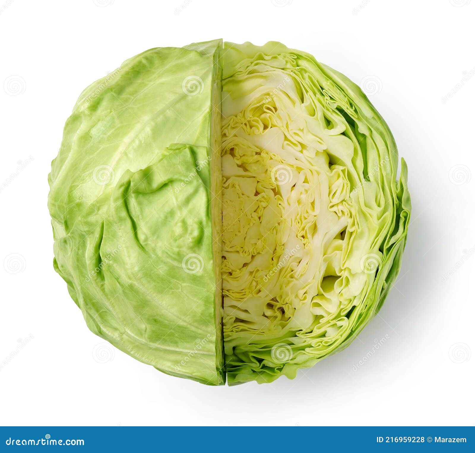 Fresh raw cabbage stock photo. Image of meals, organic - 216959228