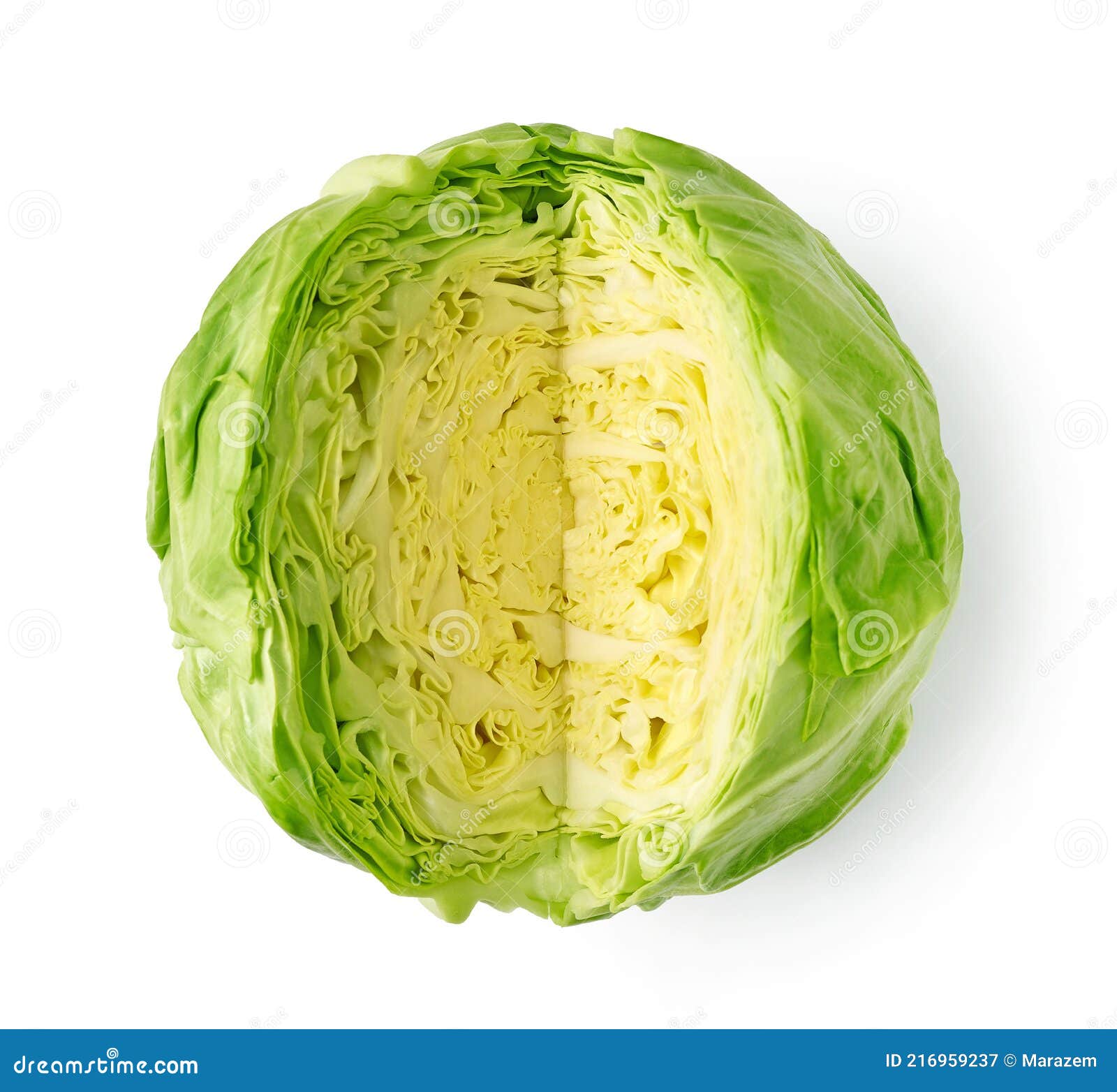 Fresh raw cabbage stock image. Image of growth, background - 216959237