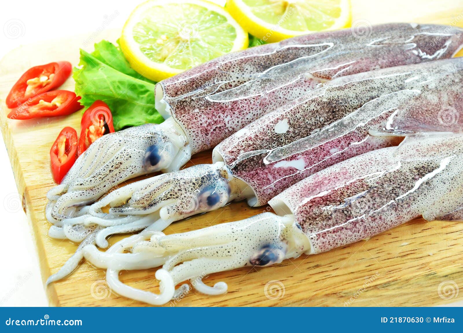 Fresh raw calamari stock photo. Image of color, closeup - 21870630