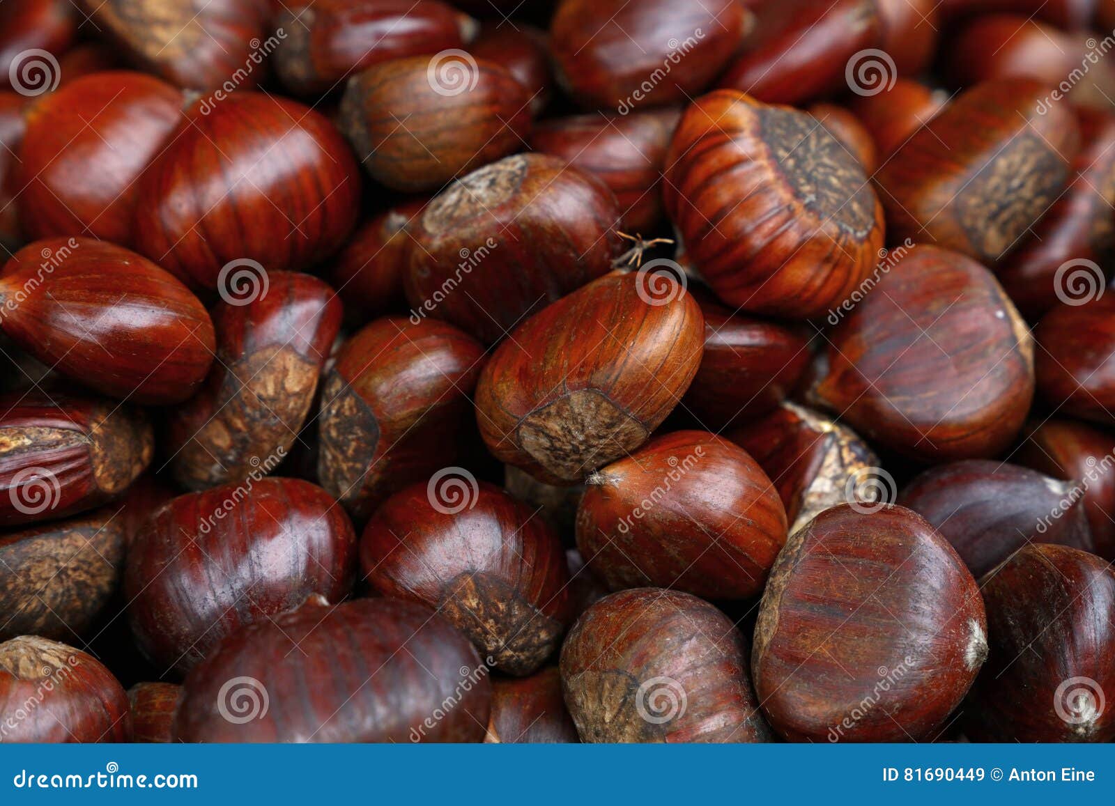 Fresh Raw Chestnuts Marrons Close Up Stock Image - Image of ingredient ...