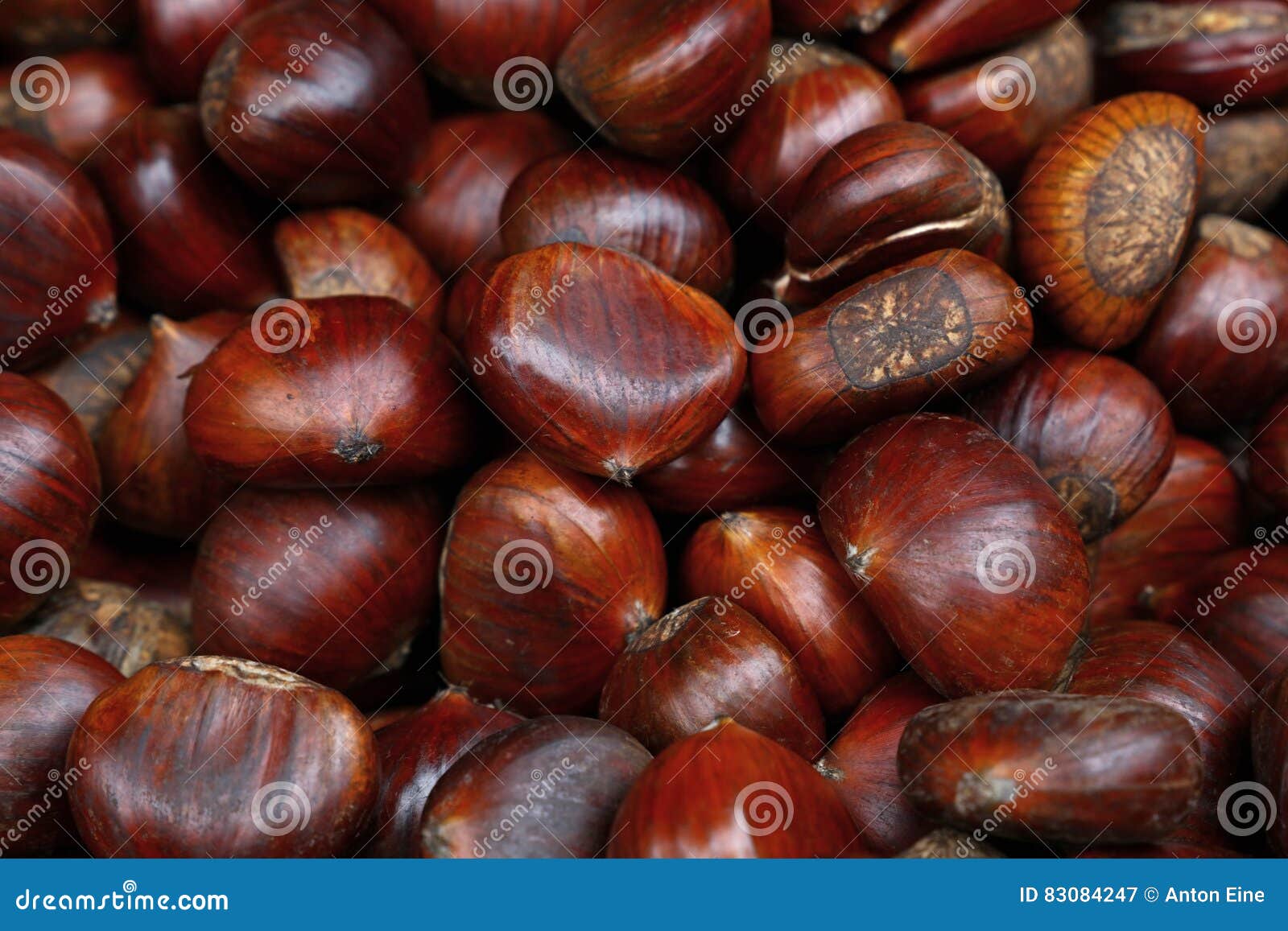 Fresh Raw Chestnuts Marrons Close Up Stock Image - Image of ingredient ...