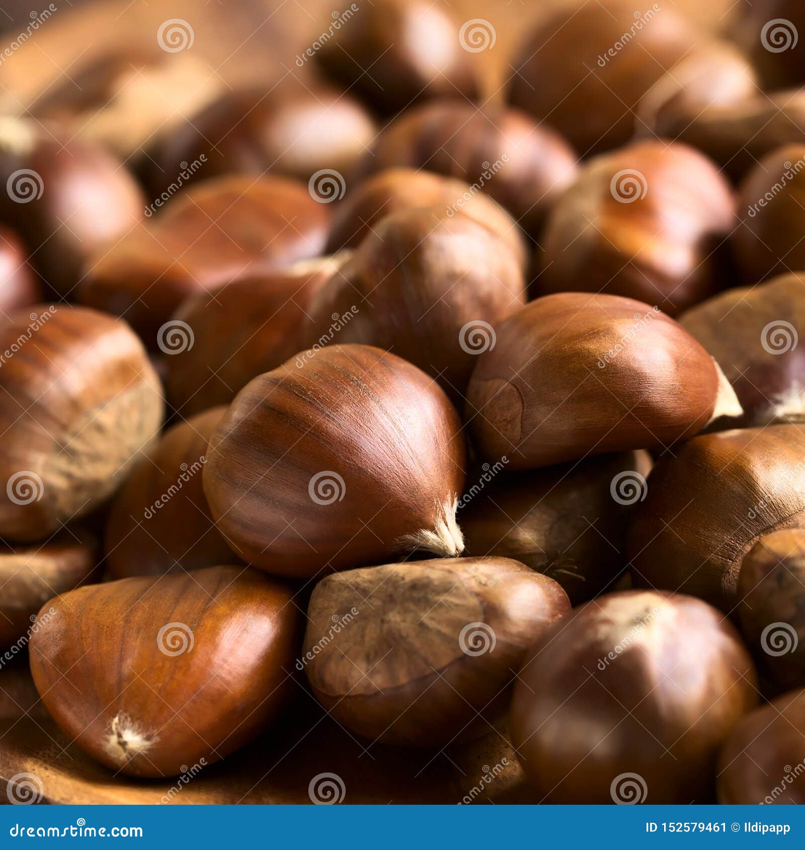Raw Chestnuts stock image. Image of autumn, seasonal - 152579461