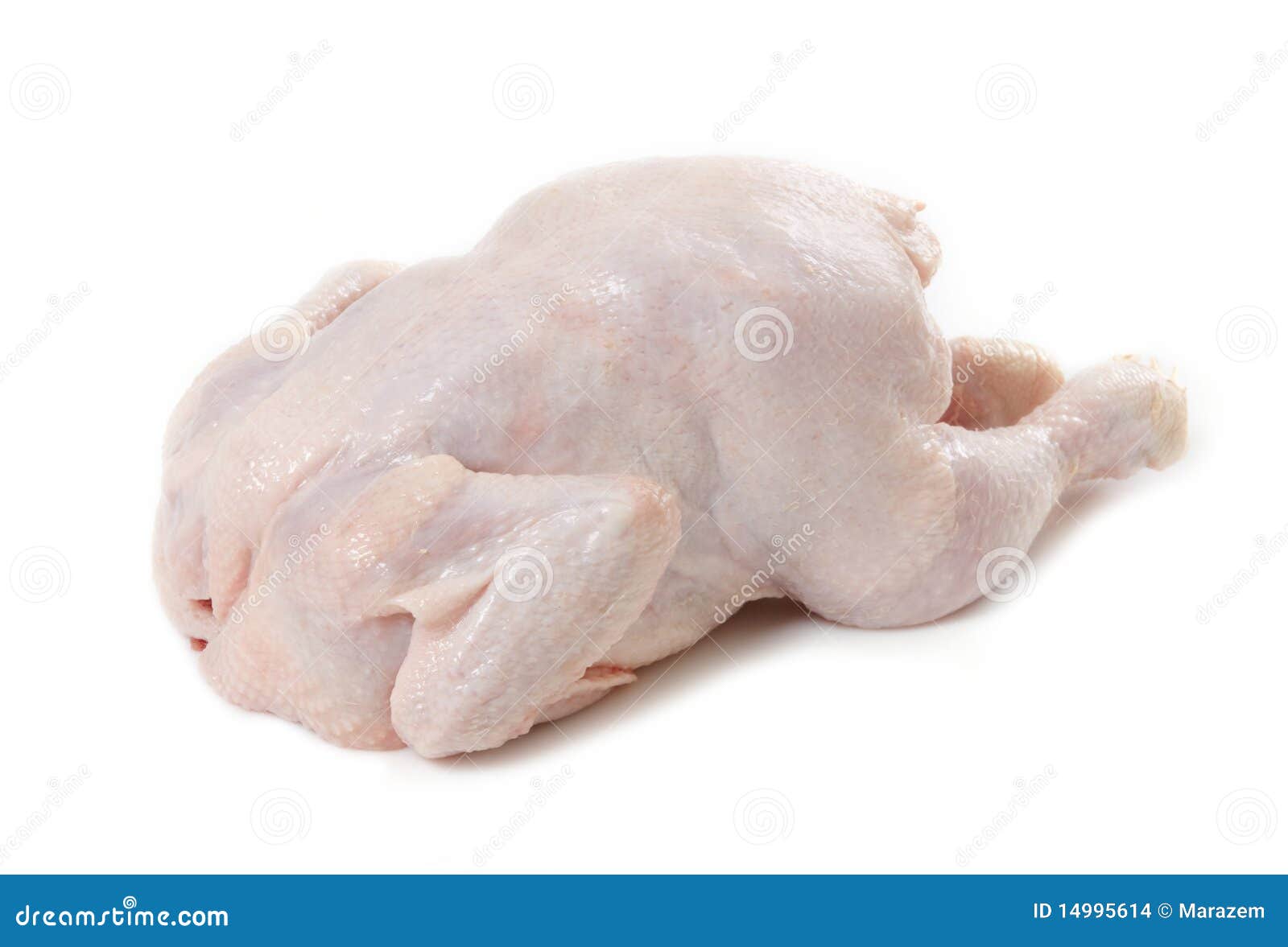 Fresh raw chicken stock photo. Image of meat, poultry - 14995614