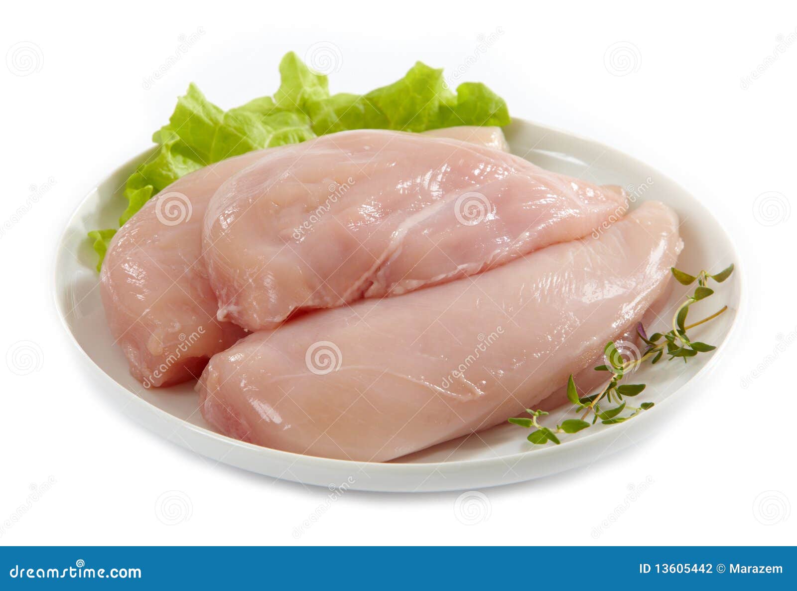 Fresh raw chicken fillets stock photo. Image of animal - 13605442