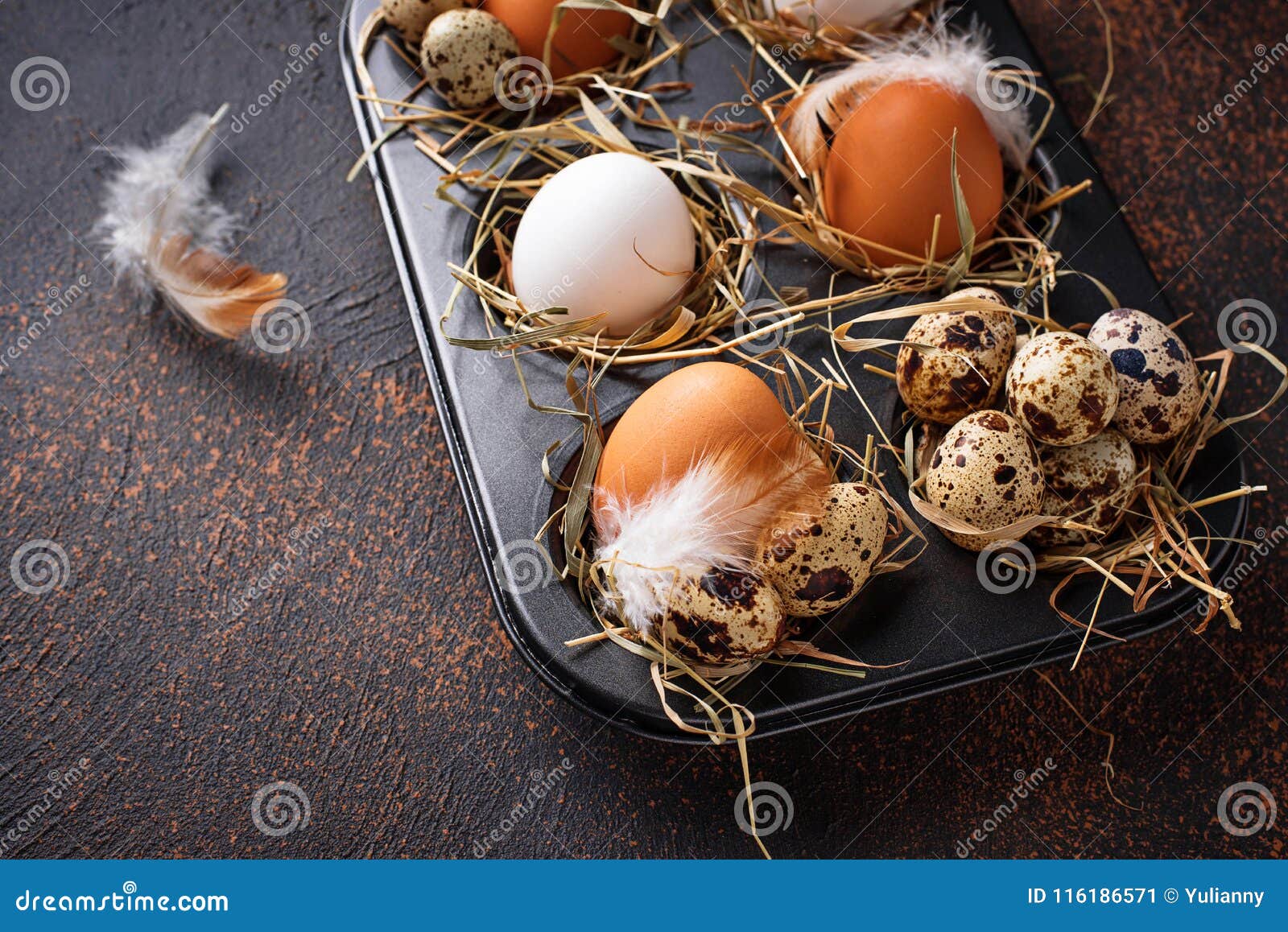 Fresh Raw Chicken and Quail Eggs in Sieve Stock Image - Image of ...