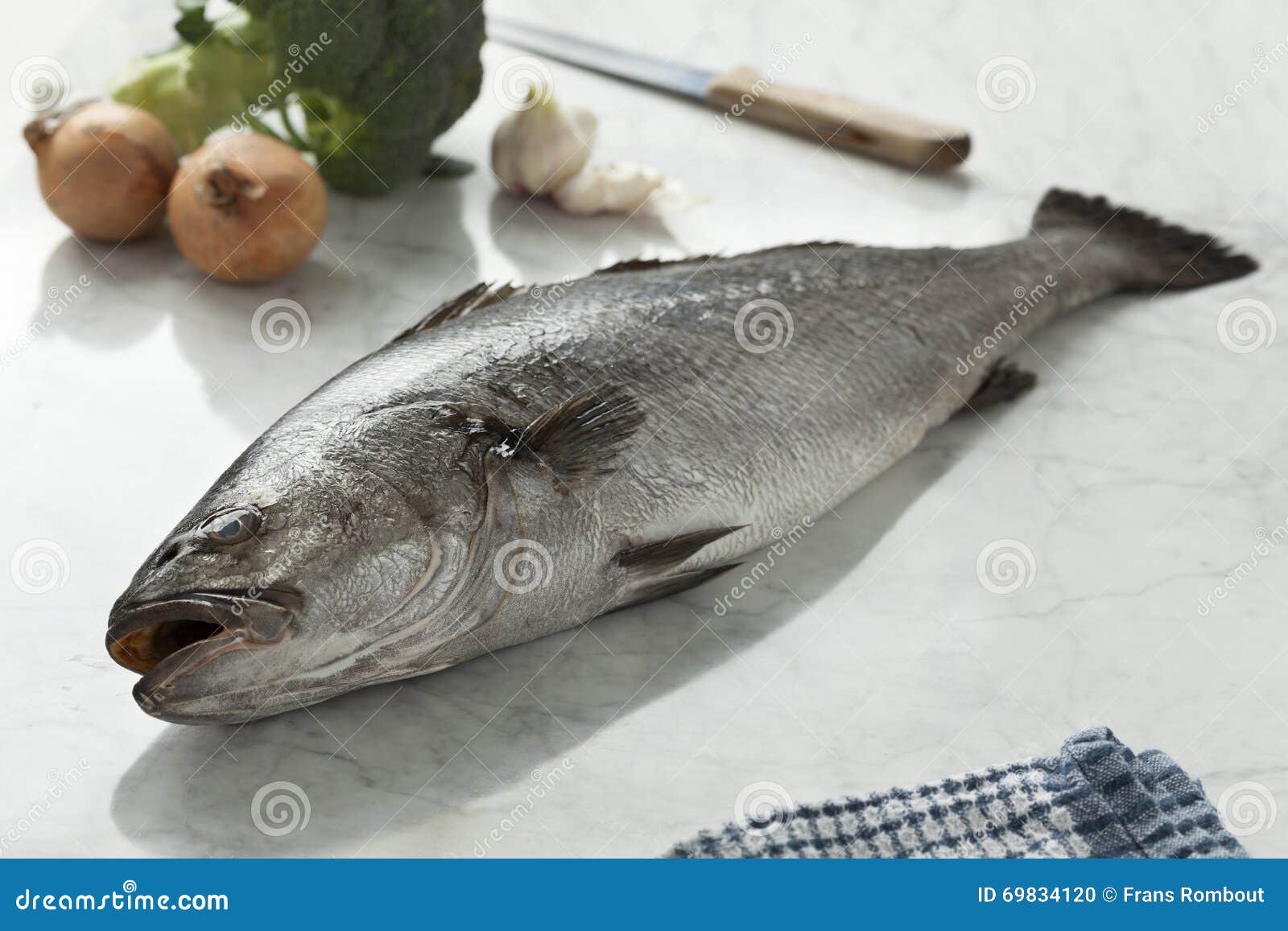 Meagre Fish On Fishing Nets Stock Photography | CartoonDealer.com #49195190