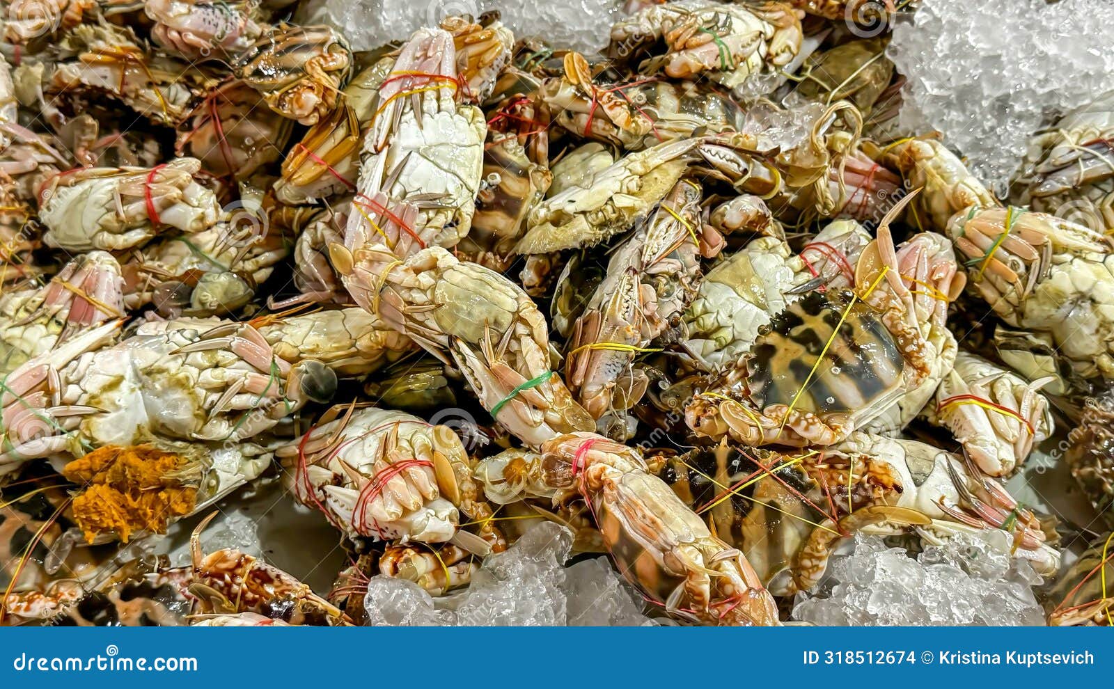 Fresh Raw Crabs Nestled in Ice at Local Fish Market Stock Photo - Image ... Fresh Raw Crabs Nestled in Ice at Local Fish Market Stock Photo - Image ...