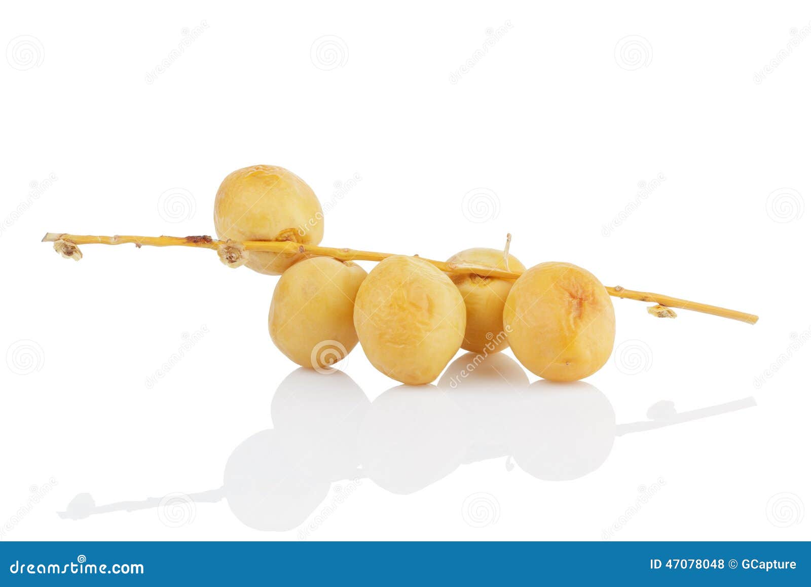 Fresh Raw Dates with Branch Stock Photo - Image of fresh, isolated ...