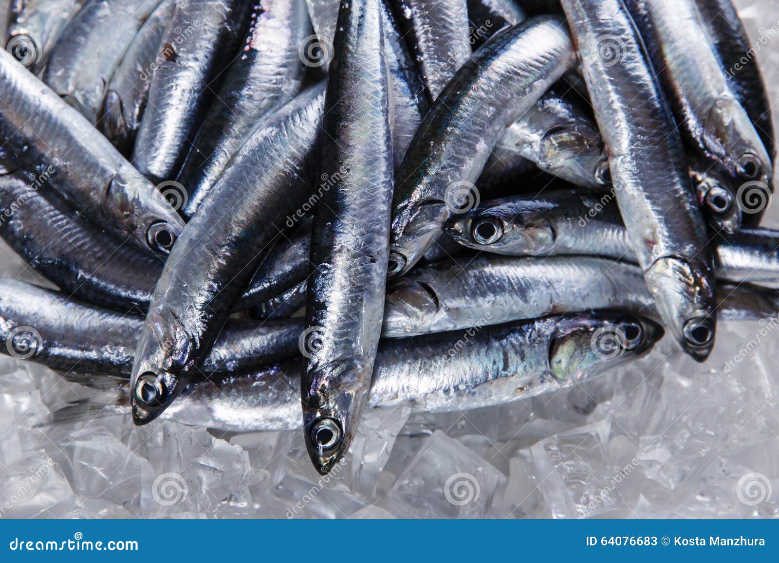 Fresh Raw Fish Anchovy on Ice Stock Image - Image of freshness, small ...