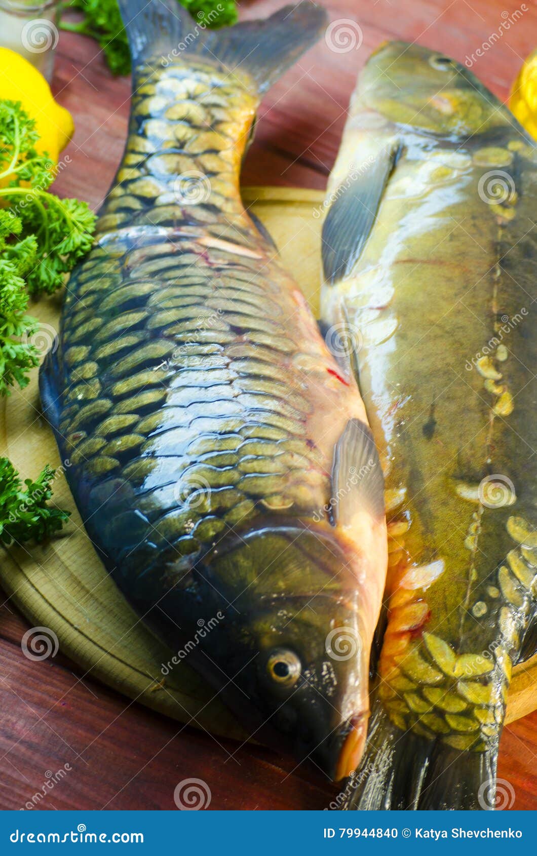 Fresh raw fish carp stock photo. Image of river, mirror - 79944840