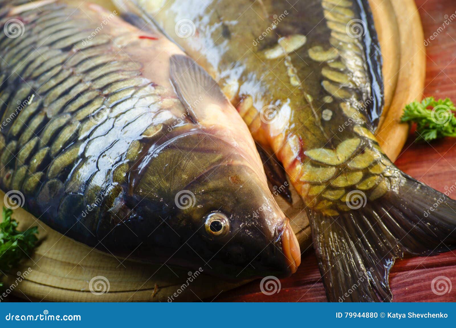 Fresh raw fish carp stock photo. Image of grill, omega - 79944880