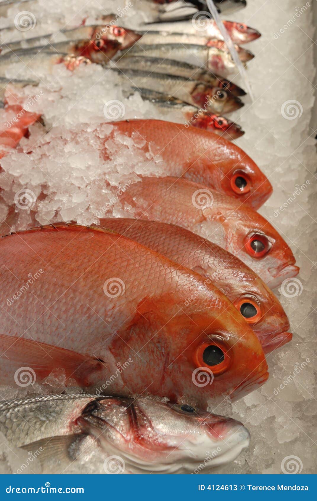 Fresh Raw Fish on Fishmonger S Slab Stock Image - Image of uncooked ...