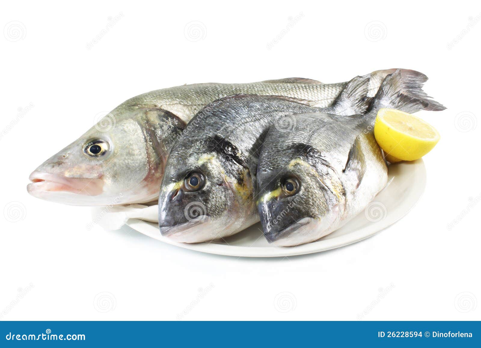 Fresh raw fish and lemon stock photo. Image of preparation - 26228594