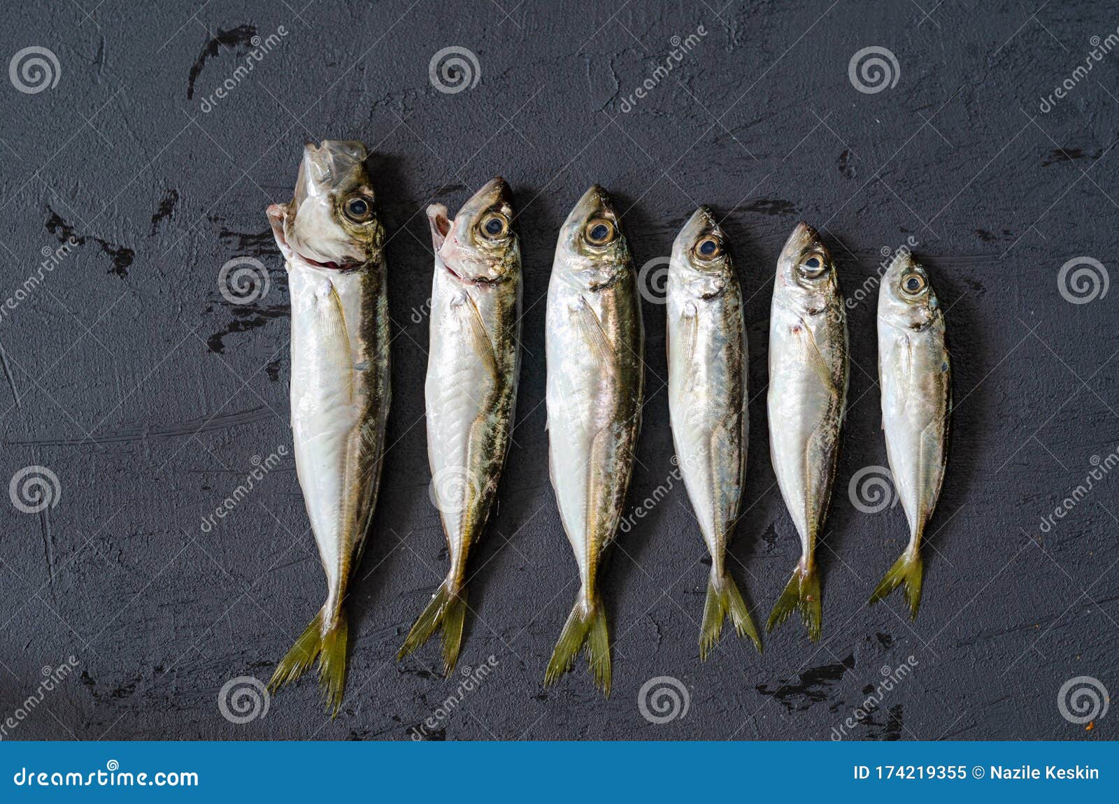 Fresh and Raw Fish Lined Up from Large To Small Stock Image - Image of ...