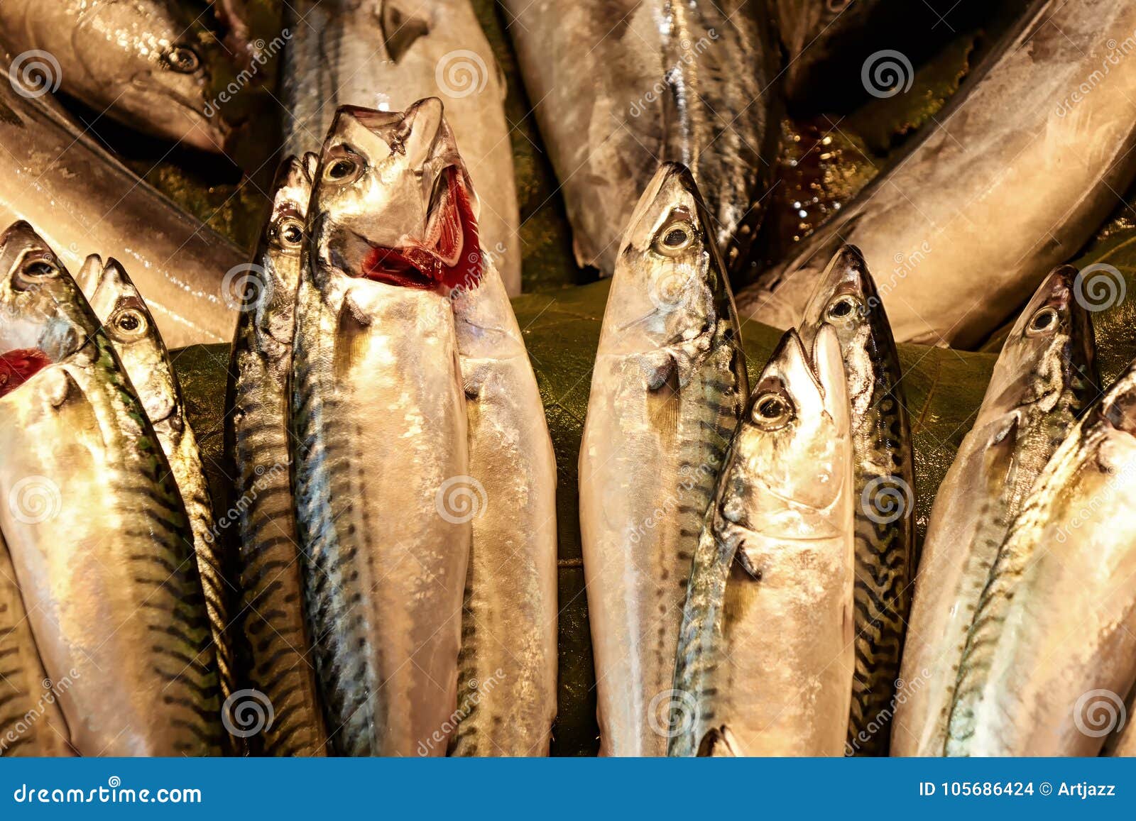 Freah fish in the store stock photo. Image of background - 105686424