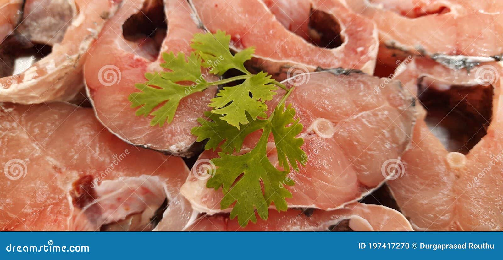 Fresh Raw Fish Pieces Isolated View Stock Photo - Image of view, fresh ...