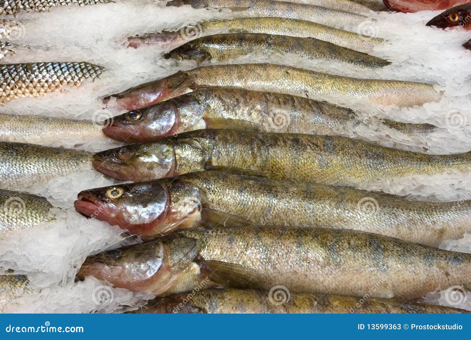 Fresh Raw Fish in Supermarket Stock Image - Image of freshness, fresh ...