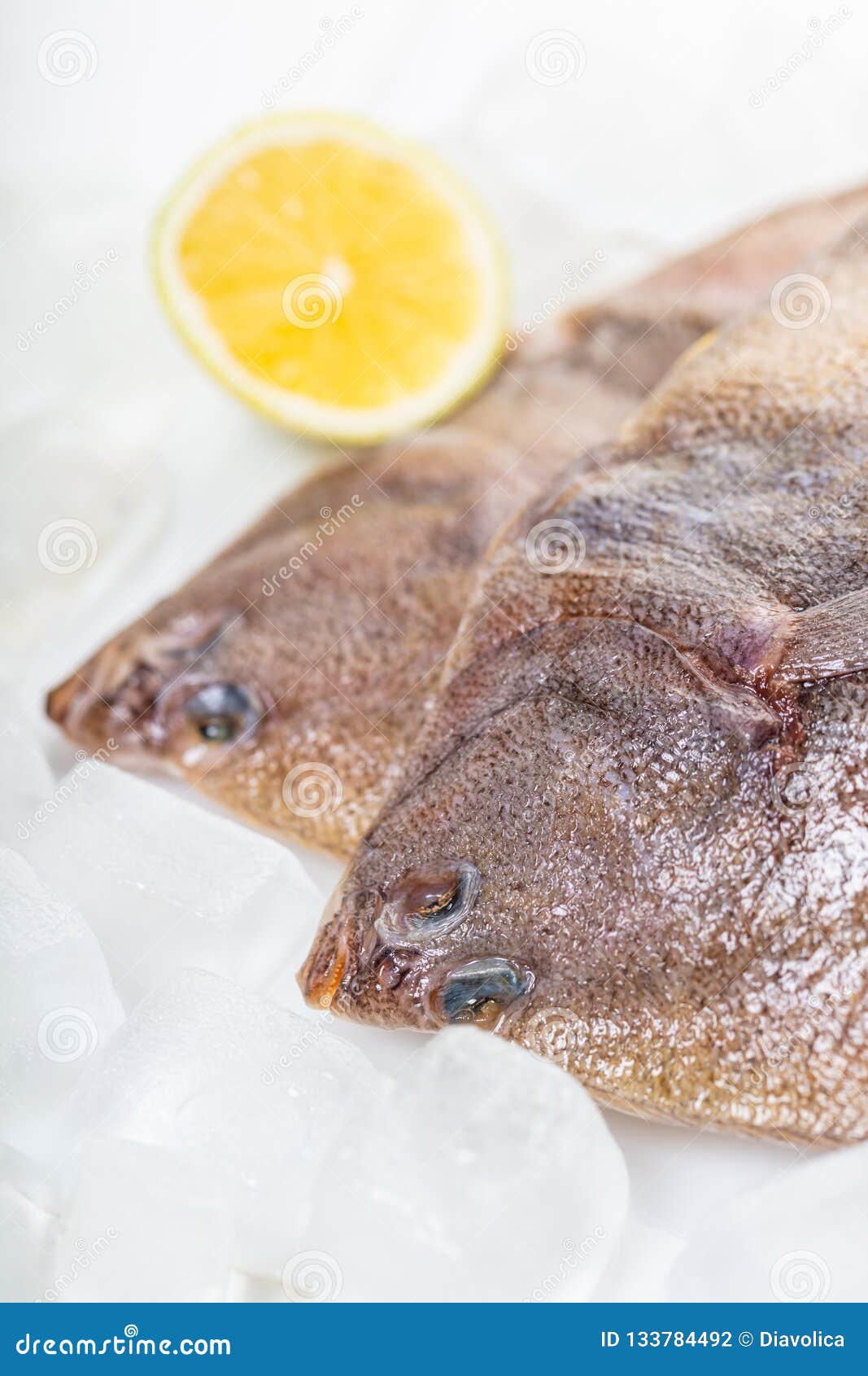 Fresh raw flounder fish stock photo. Image of background - 133784492