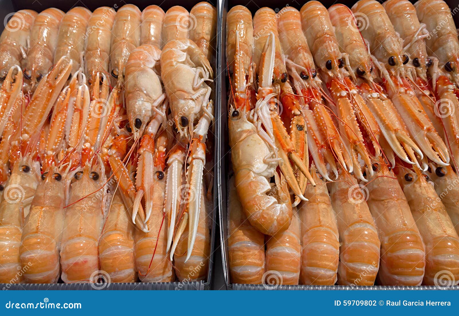Fresh Raw Frozen Lobster in a Box Stock Photo - Image of edible ...