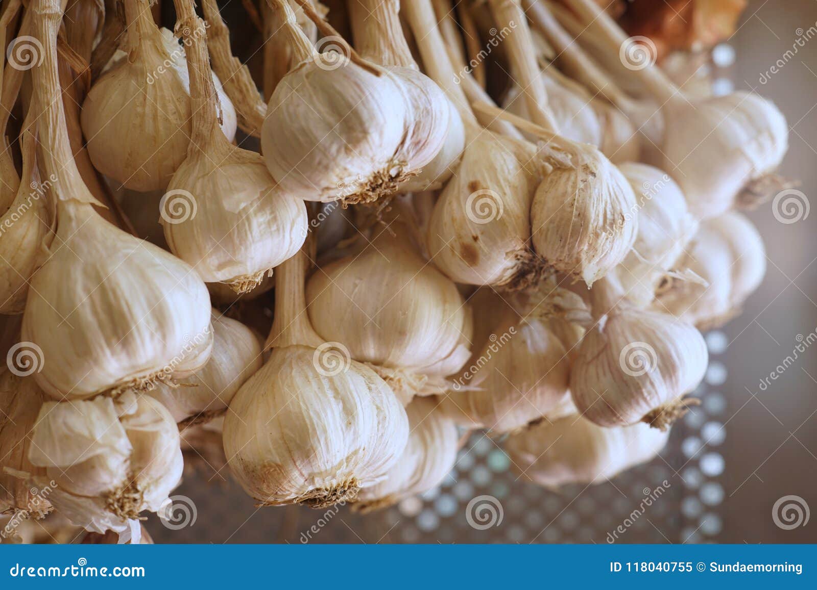 Fresh Raw Garlic Hanging in Kitchen Stock Image - Image of ingredient ...