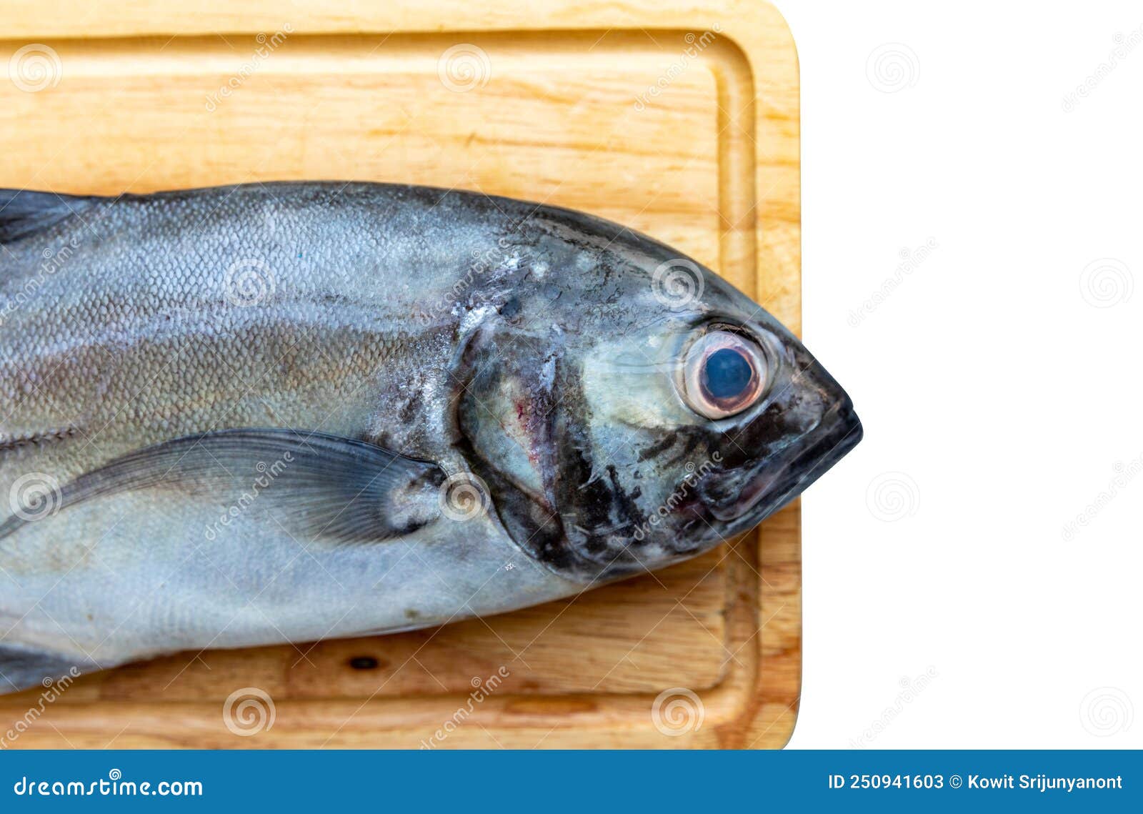Fresh Raw Giant Trevally Fish on Cutting Board Flat Lay Stock Image ...