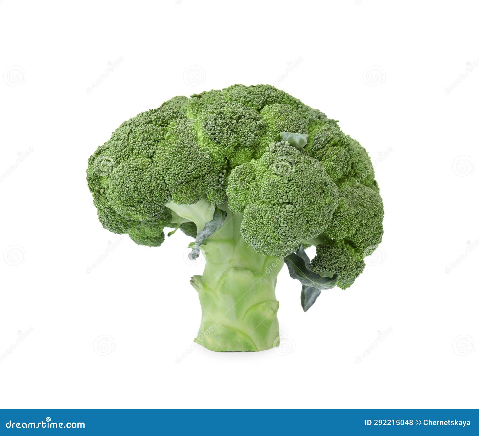 Fresh Raw Green Broccoli Isolated on White Stock Photo - Image of ...