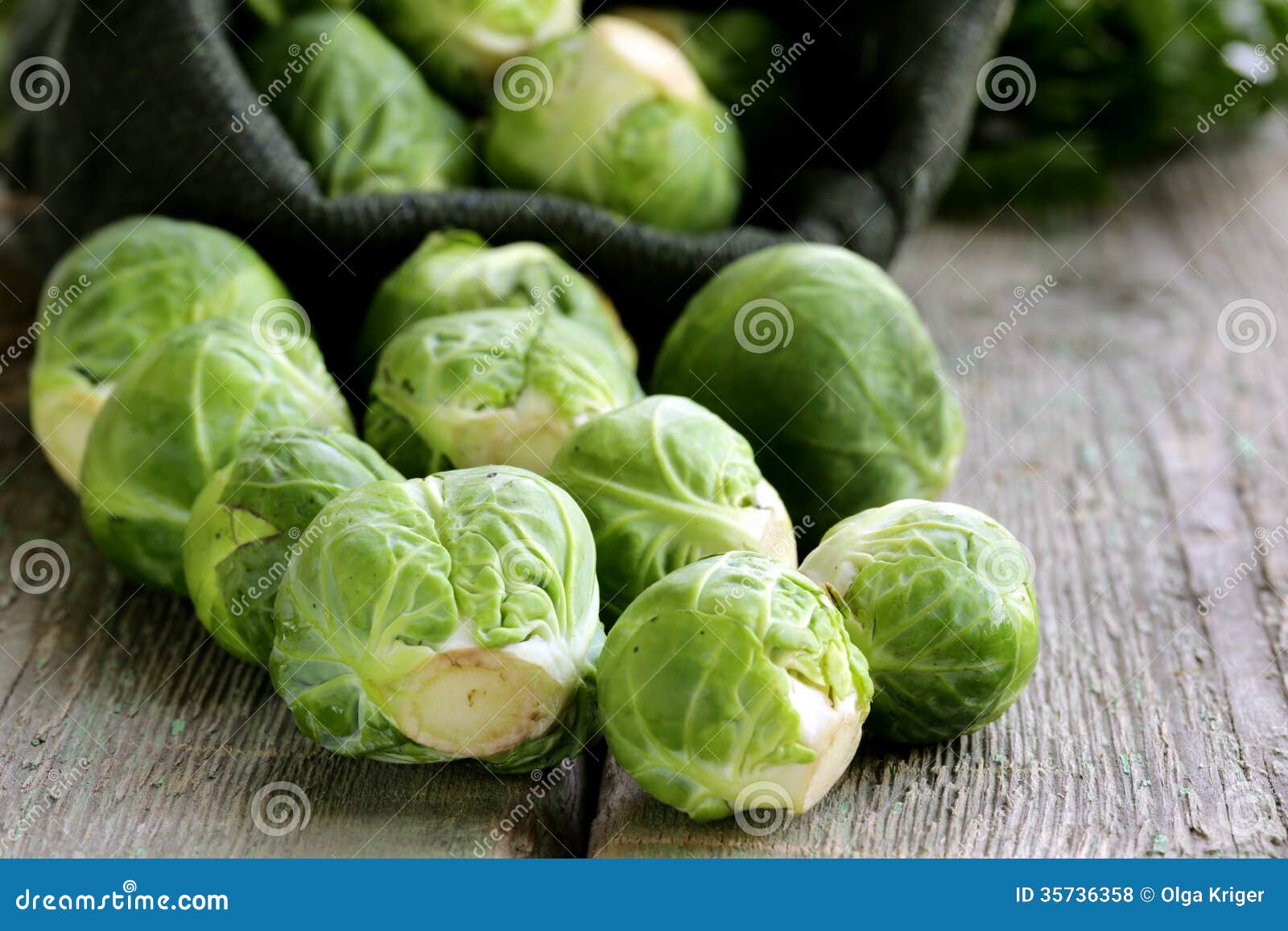 Fresh Raw Green Brussel Sprouts Stock Photo - Image of head, brussel ...