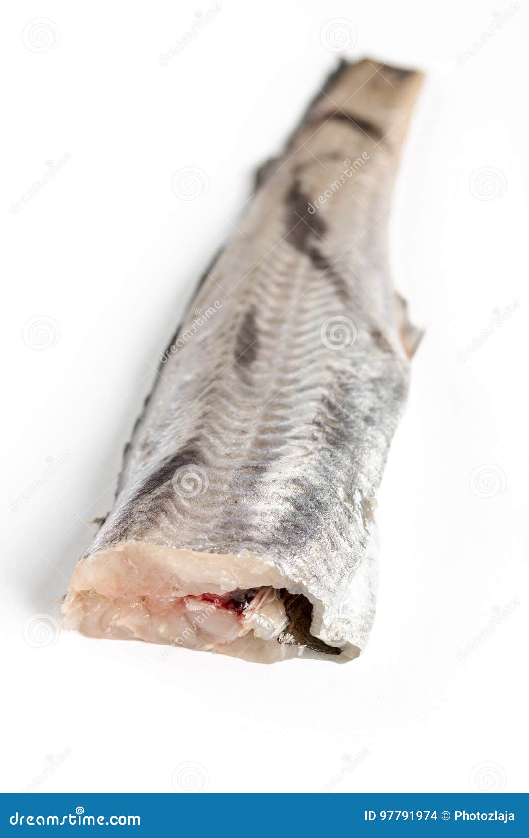 Fresh Raw Hake Fish Isolated Over White Background Stock Photo - Image ...