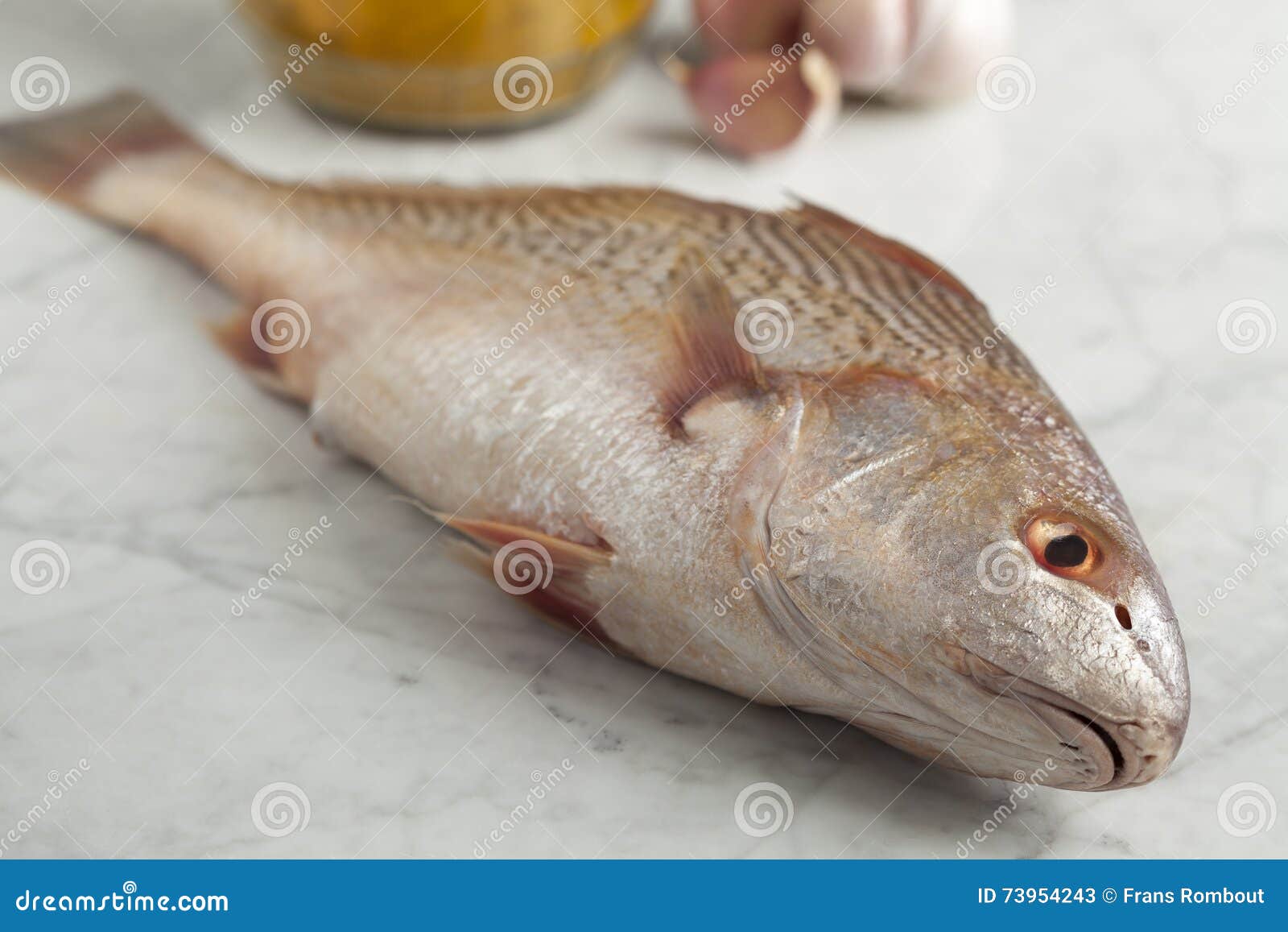 Fresh raw koebi fish stock image. Image of food, koebi - 73954243