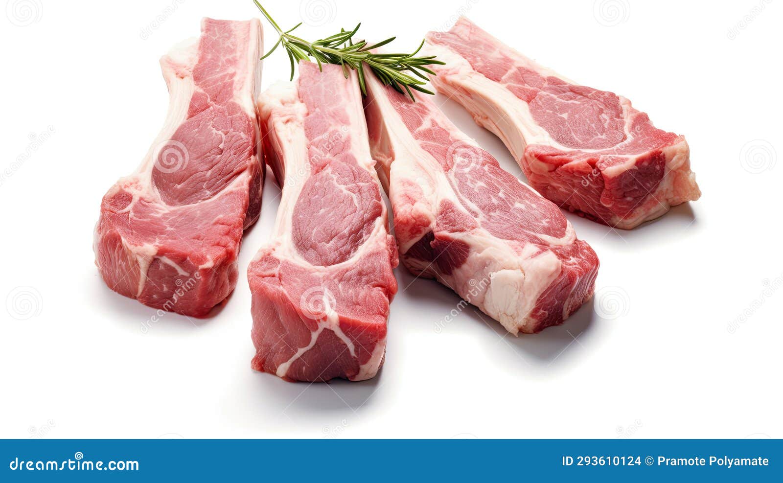 Fresh Raw Lamb Chops Isolated on White Background Stock Illustration ...