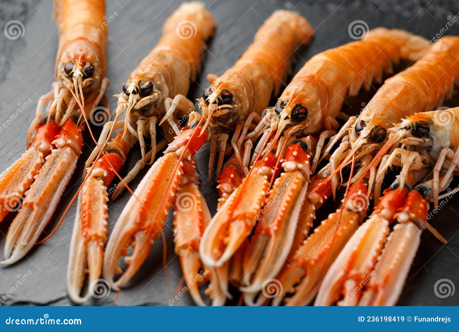 Fresh Raw Langoustine on Rustic Stone Board Stock Image - Image of ...