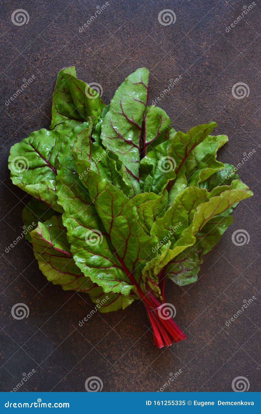 Fresh, Raw Leaves of the Beetroot Stock Image - Image of dinner, green ...