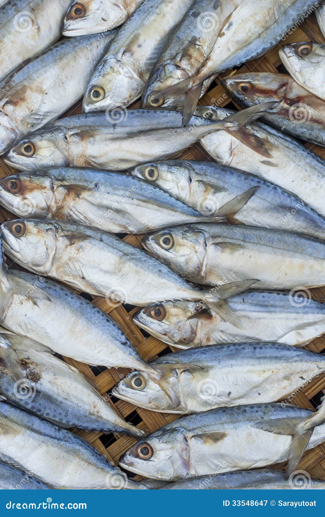 Fresh raw mackerel fish stock image. Image of mackerel - 33548647