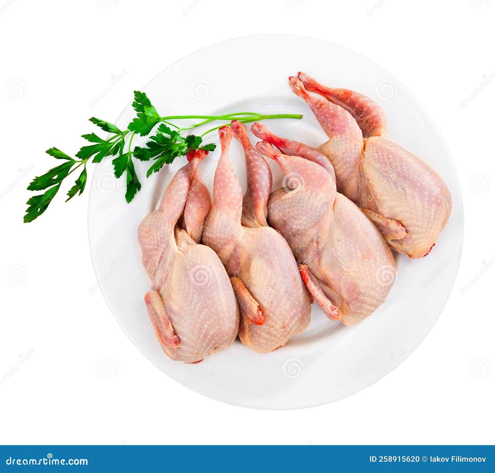 Fresh Raw Meat Quails Ready for Cooking Stock Photo - Image of isolated ...
