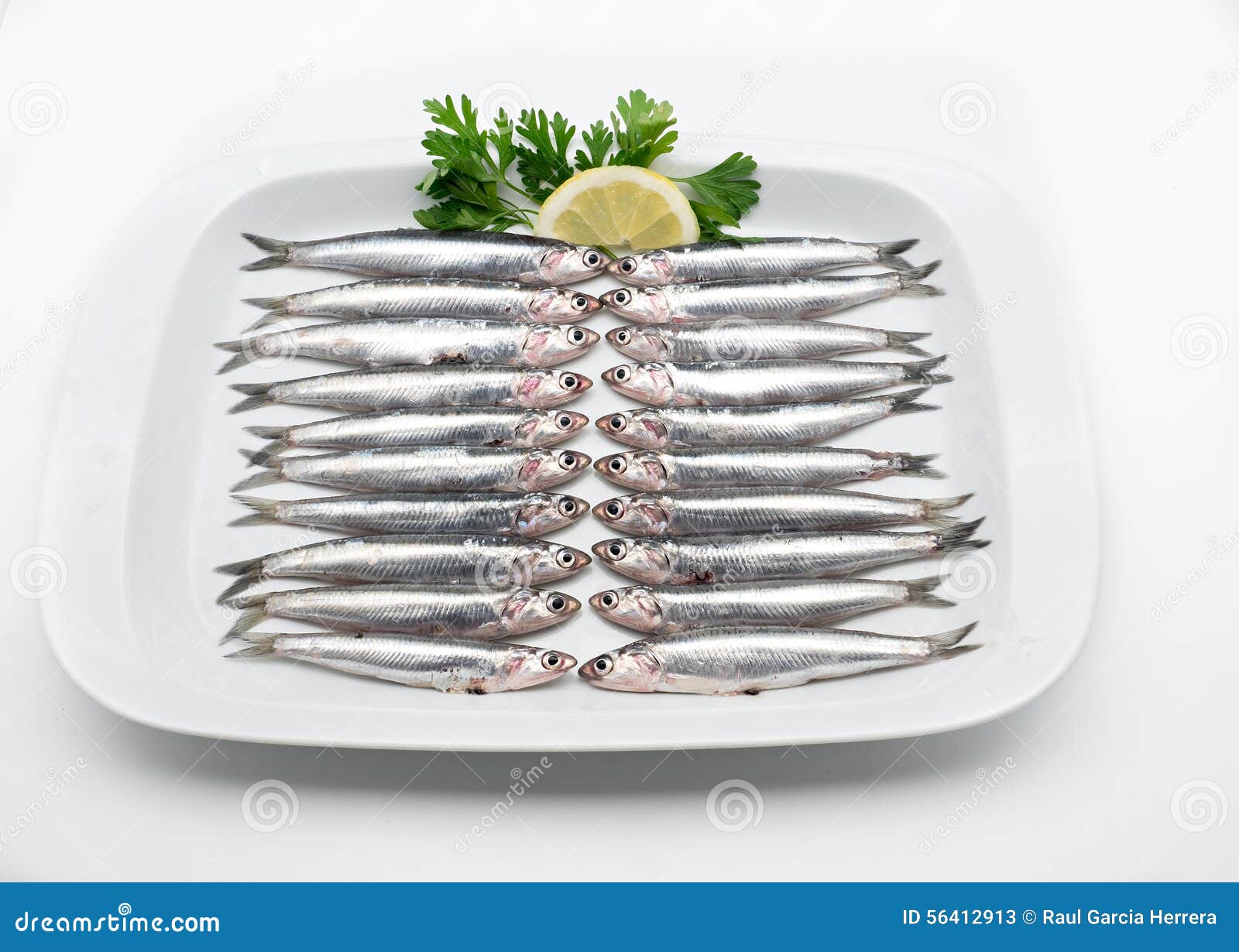 Fresh and Raw Mediterranean Anchovy on White Dish. Stock Image - Image ...
