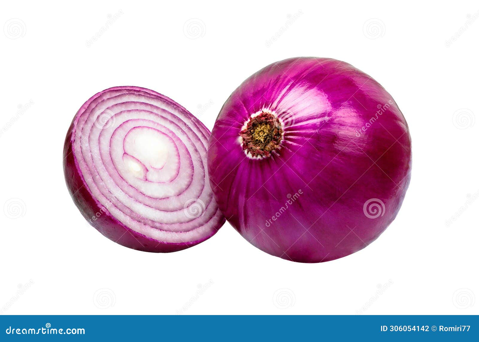 Fresh raw onion slice stock photo. Image of healthy - 306054142