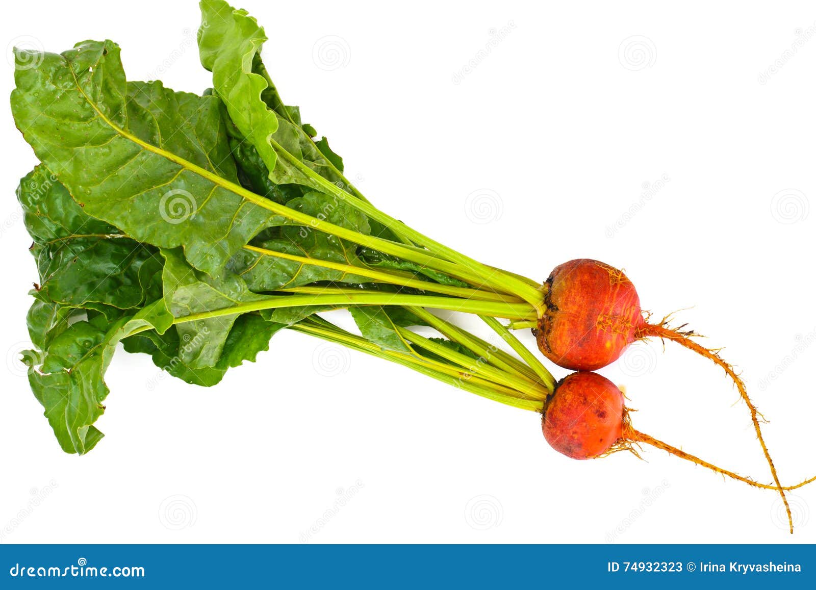 Fresh Raw Orange Beetroot, Beet Stock Image - Image of objects ...