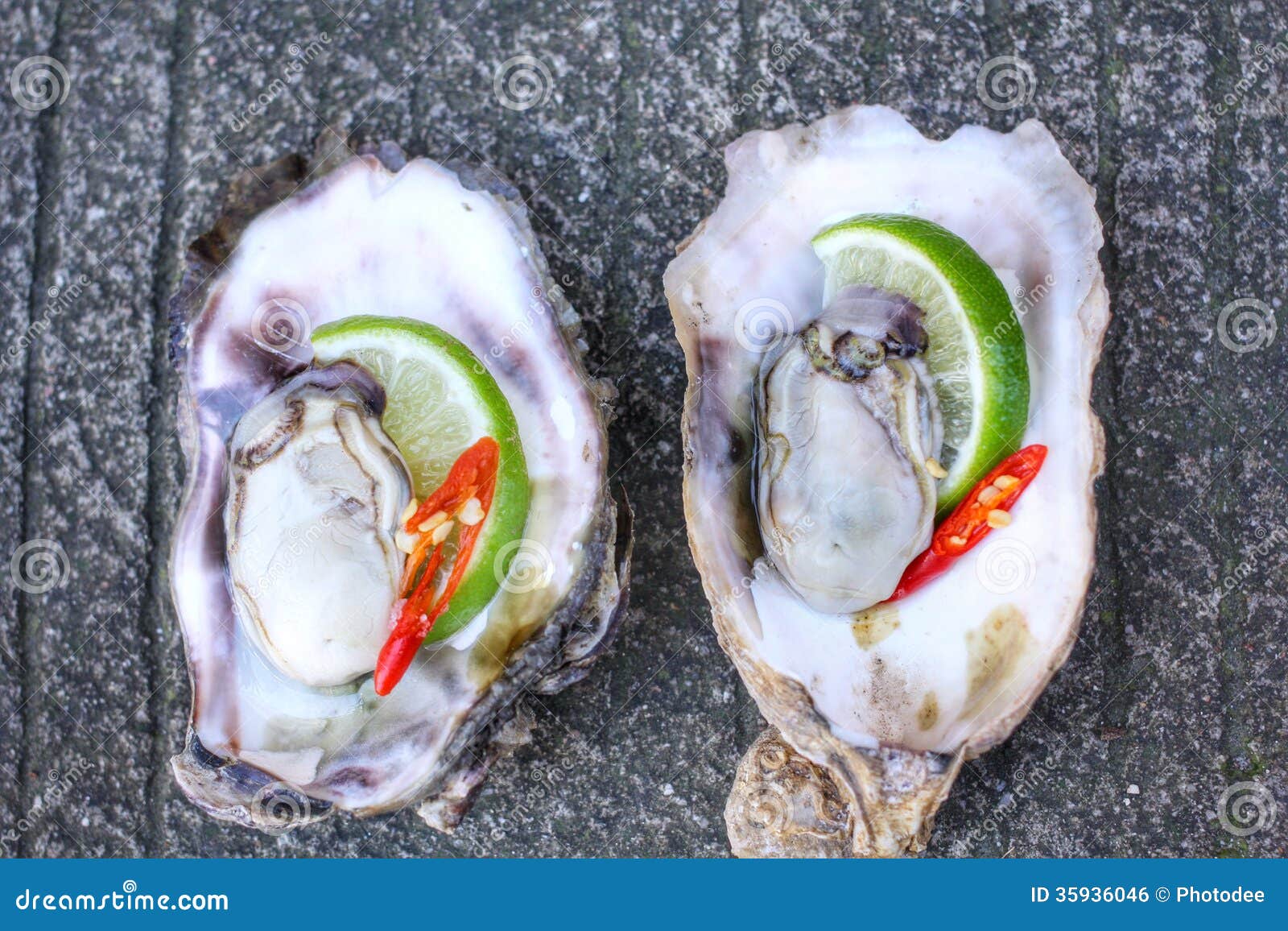 Fresh raw oysters stock photo. Image of fish, opened - 35936046